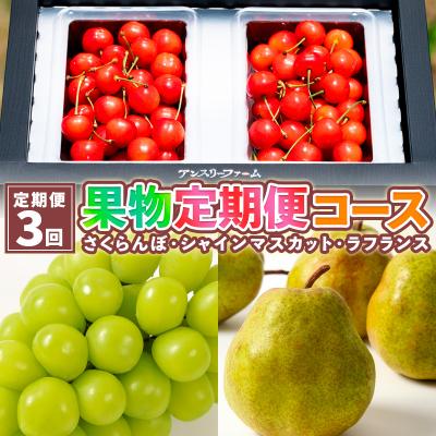 ふるさと納税 山形市 【定期便3回】果物定期便コース(さくらんぼ、シャインマスカット、ラフランス) FY25-025 : Yahoo!ふるさと納税 - 通販 - Yahoo!ショッピング