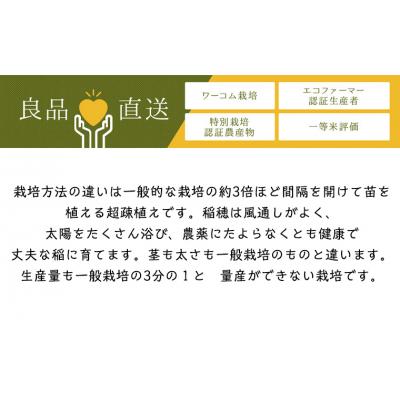 ふるさと納税 山形市 令和6年産 つや姫 5kg (精米) 特別栽培米 FY25-125 : Yahoo!ふるさと納税 - 通販 - Yahoo!ショッピング