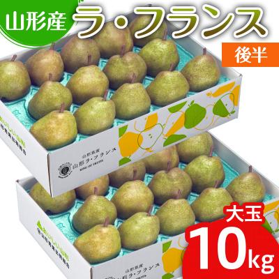 ふるさと納税 山形市 山形のラ・フランス大玉 10kg(20〜28玉) 後 FY25-112 : Yahoo!ふるさと納税 - 通販 - Yahoo!ショッピング