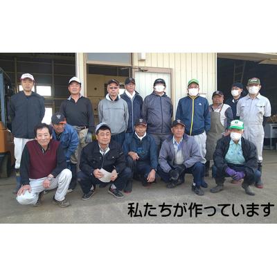 ふるさと納税 岩沼市 【令和7年産新米】【6ヶ月定期便】食べ比べセット 5kg [No.5704-0819] : Yahoo!ふるさと納税 - 通販 - Yahoo!ショッピング