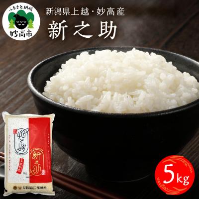 ふるさと納税 妙高市 2026年2月中旬発送 令和7年産 新潟県上越妙高産 新之助 5kg : Yahoo!ふるさと納税 - 通販 ...