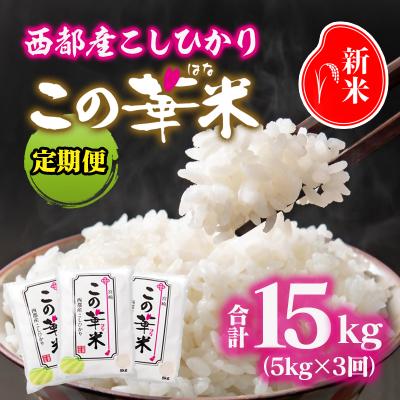 ふるさと納税 西都市 令和7年産 新米こしひかり5kg【3回定期便】『この華米』[2878] : Yahoo!ふるさと納税 - 通販 - Yahoo!ショッピング
