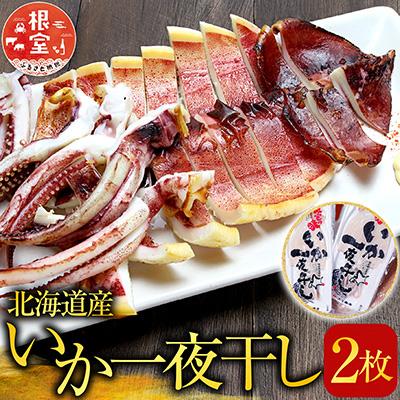 ふるさと納税 根室市 【北海道産】いか一夜干し2枚 G-11079 : Yahoo!ふるさと納税 - 通販 - Yahoo!ショッピング