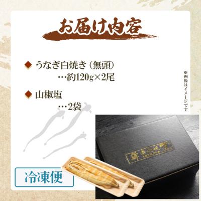 ふるさと納税 香南市 【3回定期便】うなぎ屋きた本 うなぎ白焼き120g 2尾(無頭) Wun-0036 : Yahoo!ふるさと納税 - 通販 - Yahoo!ショッピング