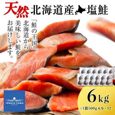ふるさと納税 天塩町 ☆北海道産 塩サケ切り身 6kg : Yahoo!ふるさと納税 - 通販 - Yahoo!ショッピング