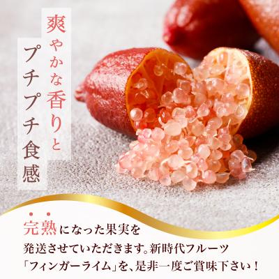 ふるさと納税 可児市 フィンガーライム 70g : Yahoo!ふるさと納税 - 通販 - Yahoo!ショッピング