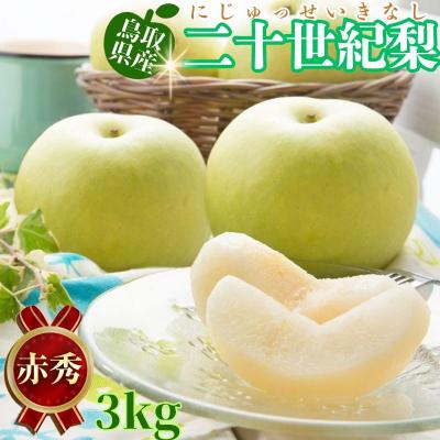 ふるさと納税 八頭町 二十世紀梨(赤秀) 3kg : Yahoo!ふるさと納税 - 通販 - Yahoo!ショッピング
