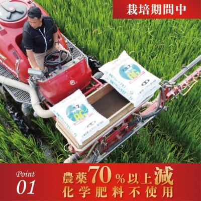 ふるさと納税 福井市 【2025年2月下旬発送】ふくい東郷米 特別栽培米コシヒカリ無洗米 6kg(3kg×2)【真空袋】 : 6687712 : Yahoo!ふるさと納税 - 通販 ...