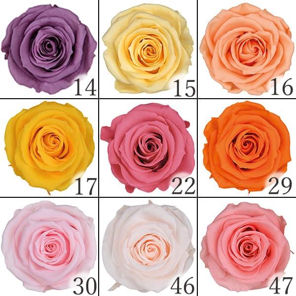 プリザーブドフラワー 花材 とりよせ品 スタンダードローズ(1箱6 プリザーブドフラワー 花材 とりよせ品 スタンダードローズ(1箱6