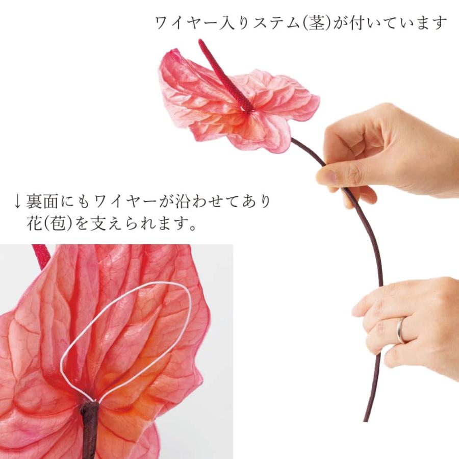 プリザーブドフラワー 花材 とりよせ品 アンスリューム(3輪入) ドライフラワー 素材 パーツ 材料 ハーバリウム プリザーブドローズ サシェ 大地農園 : 造花ドライフラワー専門問屋花びし ...