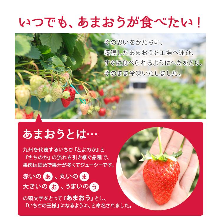 福岡県産冷凍いちご（あまおう）400g 送料込み 無添加（ 冷凍 いちご イチゴ 苺 ジャム 手作り フルーツ 冷凍フルーツ 無添加 トースト ...
