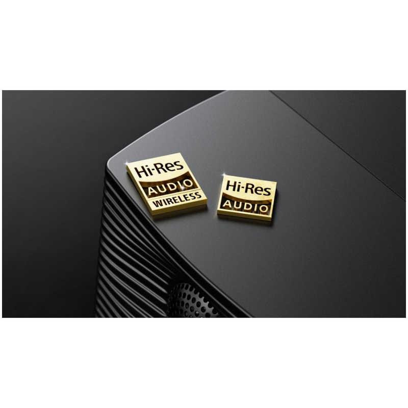 FIIO SP3 BT White [ハイレゾ対応 /2本] FIO-SP3BT-W : 4562314019339 : コジマYahoo!店 - 通販 - Yahoo!ショッピング