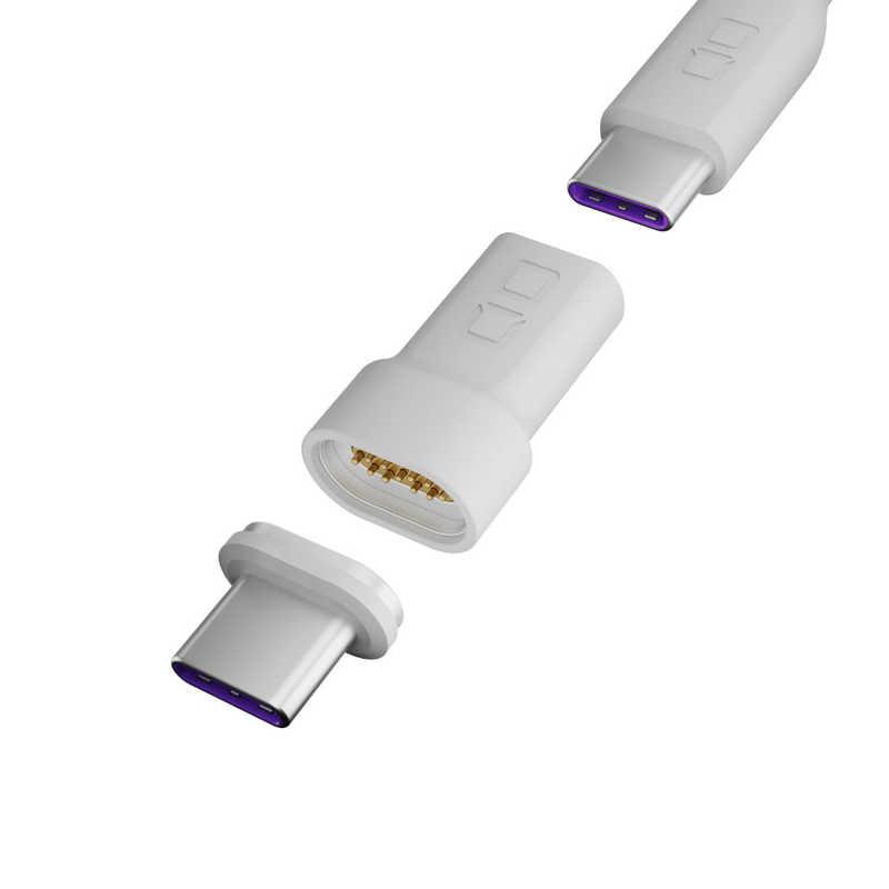 CIO USB-C マグネット変換アダプタ ストレート ホワイト CIOMGCTICCWH : コジマYahoo!店 - 通販 - Yahoo!ショッピング