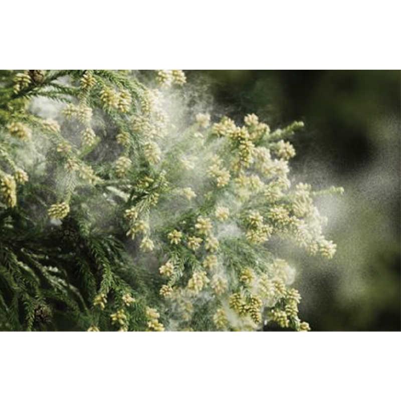 レーザーライナー PM2.5モニター エアーモニターピュア レーザーライナー マットブラック [デジタル] 082431J : コジマYahoo!店 - 通販 - Yahoo!ショッピング