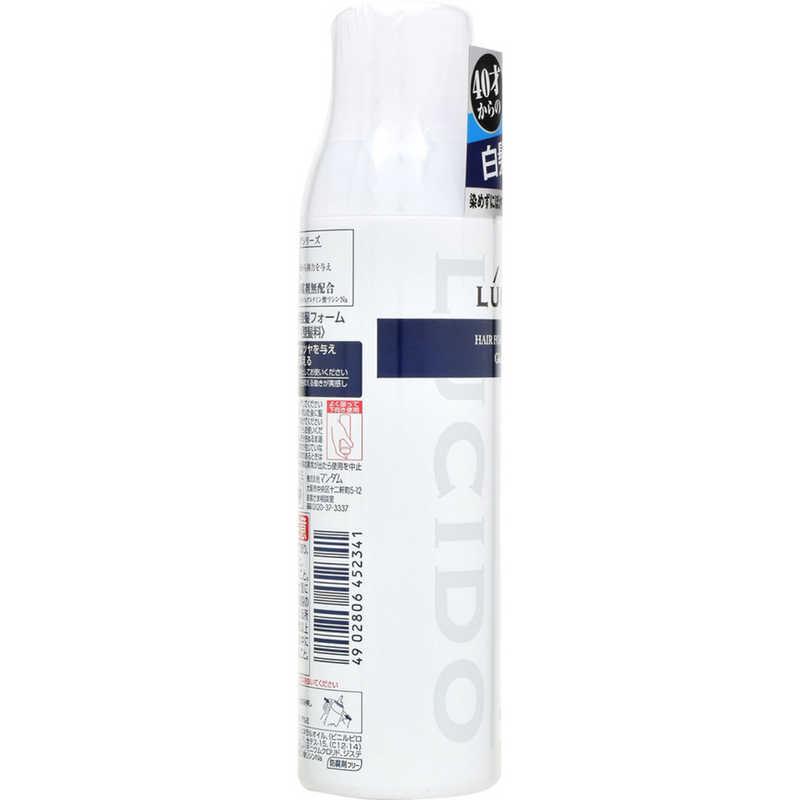 マンダム LUCIDO(ルシード) 白髪用整髪フォームグロス&ハード(185g) 〔スタイリング剤〕 : コジマYahoo!店 - 通販 - Yahoo!ショッピング