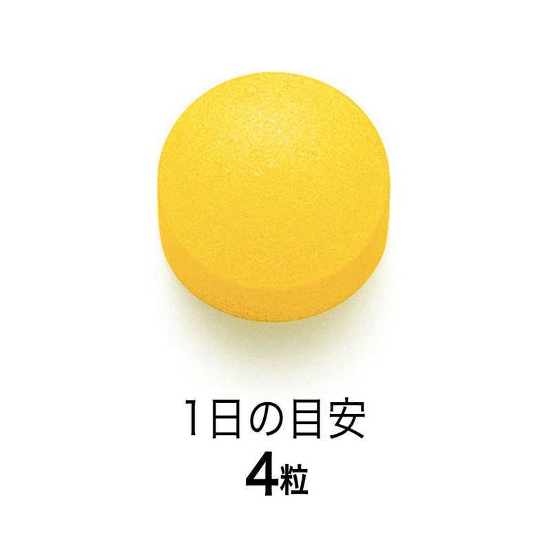 ファンケル ファンケル 中性脂肪サポート30日分 FCLチュウセイシボウ30ニチ : コジマYahoo!店 - 通販 - Yahoo!ショッピング