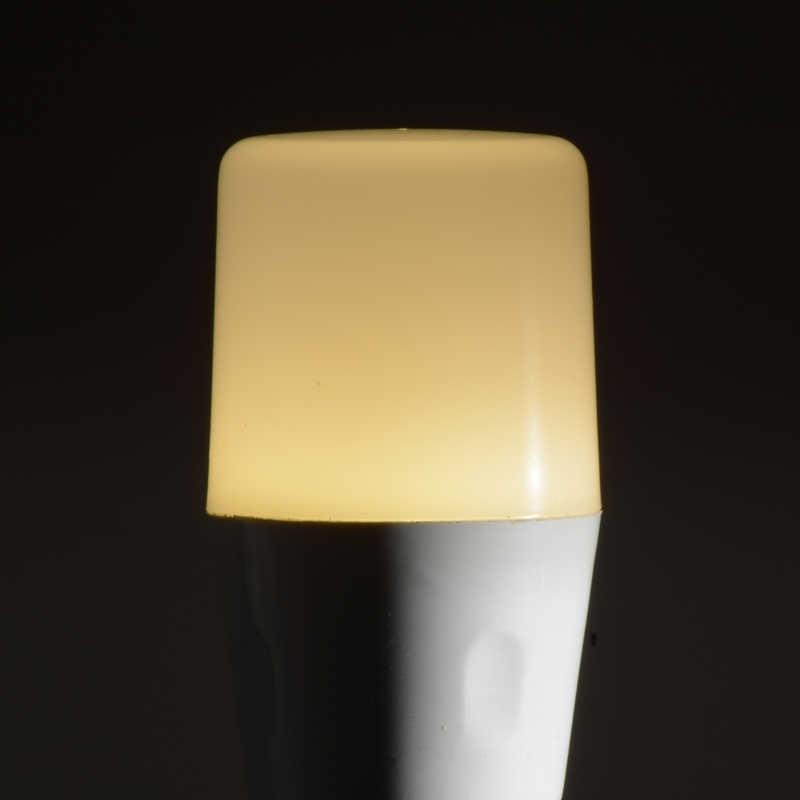 オーム電機 LED電球 E-Bright ホワイト [E26/電球色/60W相当/T形/全方向] LDT7L-GAG20 :4971275636071:コジマYahoo!店 - 通販 ...