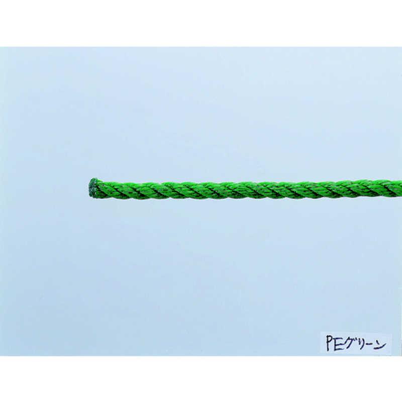 TRUSCO中山 トラスコ中山 PEグリーンロープ 3つ打 線径6mmX長さ20m R620PEG : コジマYahoo!店 - 通販 - Yahoo!ショッピング