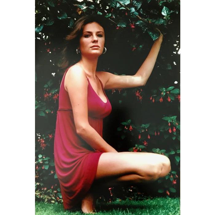 (ほぼA4サイズ) ジャクリーンビセット Jacqueline Bisset 映画 プレミア写真 輸入 約20.3x30.5cm s0028 : movie-images - 通販 ...