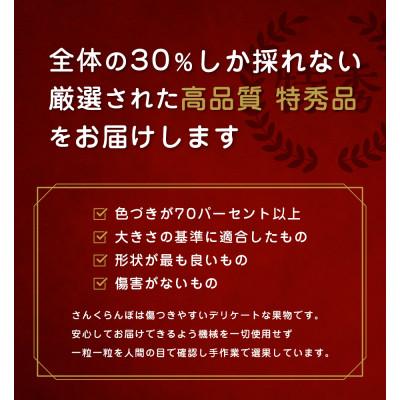 ふるさと納税 寒河江市 2026年 さくらんぼ 「 紅秀峰 」 600g 特秀品 2Lサイズ (300g×2) 山形県産 : さとふる - 通販 - Yahoo!ショッピング