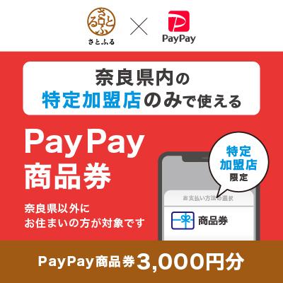 ふるさと納税 奈良県 奈良県(県庁) PayPay商品券(3,000円分)※地域内の一部の加盟店のみで利用可 : さとふる - 通販 - Yahoo!ショッピング