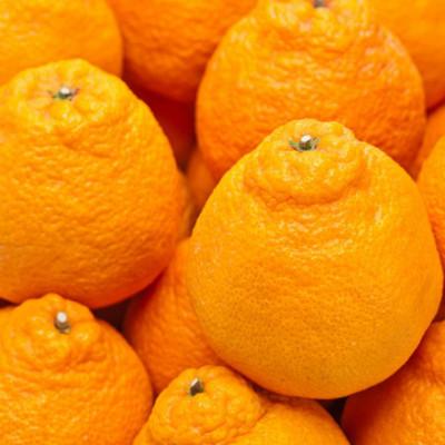 ふるさと納税 紀の川市 【濃厚】和歌山県産不知火約5kg(2L〜4Lサイズおまかせ) : 1304973 : さとふる - 通販 - Yahoo!ショッピング