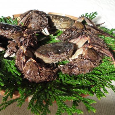 ふるさと納税 東北町 小川原湖産大和しじみ(1kg)・モクズガニ汁(950g×2)セット(冷凍) : さとふる - 通販 - Yahoo!ショッピング