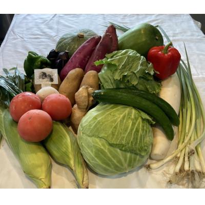 ふるさと納税 由良町 季節の新鮮野菜・果物セット(10種以上) :1334471:さとふる - 通販 - Yahoo!ショッピング