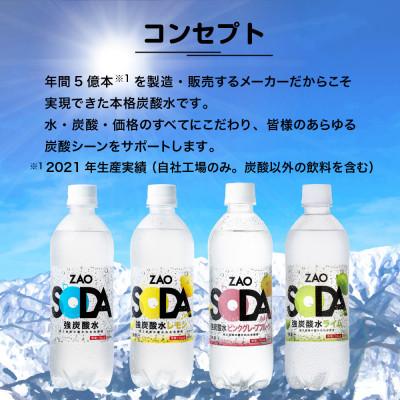 ふるさと納税 山形県 ZAO SODA 強炭酸水(プレーン) 500ml×48本 :1339375:さとふる - 通販 - Yahoo!ショッピング