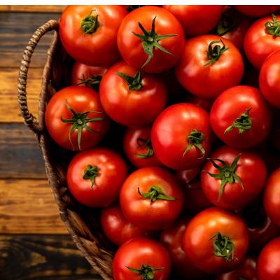 ふるさと納税 安平町 【北海道安平町産】谷川農園の桃太郎トマトジュース《食塩無添加》500ml×2本 : 1339510 : さとふる ...