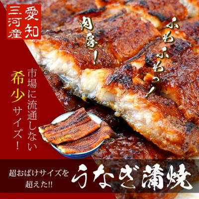 ふるさと納税 西尾市 規格外:三河産鰻蒲焼き冷凍×1尾(300g以上)A135-14 : 1339740 : さとふる - 通販 - Yahoo!ショッピング