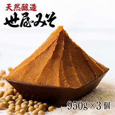 ふるさと納税 宮津市 世屋みそ 950g 3個セット : さとふる - 通販 - Yahoo!ショッピング