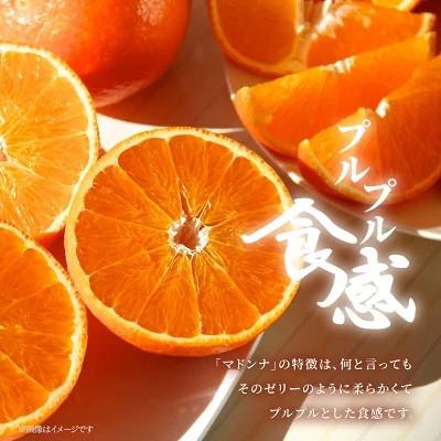 ふるさと納税 八幡浜市 極撰 柑橘 “ 雅 ” 光センサー 合格品・プルプル食感「 マドンナ 」 2キロ 【C39-43】 : さとふる - 通販 - Yahoo!ショッピング