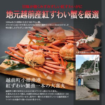 ふるさと納税 越前町 越前港浜茹で紅ずわいがに 1杯 :1355477:さとふる - 通販 - Yahoo!ショッピング