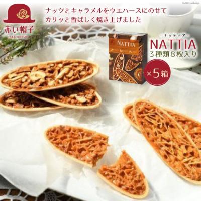 ふるさと納税 韮崎市 NATTIA 8枚×5箱 : さとふる - 通販 - Yahoo!ショッピング