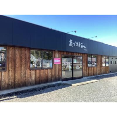 ふるさと納税 宇都宮市 胡蝶蘭大輪 ダイヤモンドスター 3本立ち 39〜40輪クラス :1359496:さとふる - 通販 - Yahoo ...