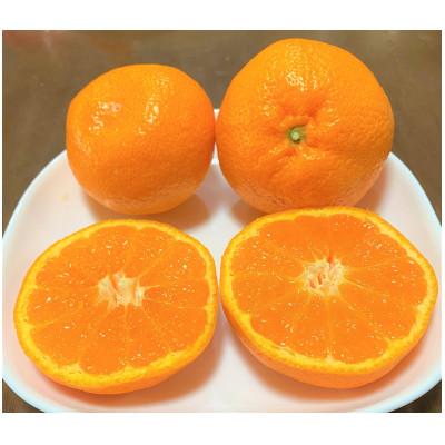 ふるさと納税 印南町 地元印南町産の完熟温州みかん5kg(S〜2Lサイズ) : 1369939 : さとふる - 通販 - Yahoo!ショッピング