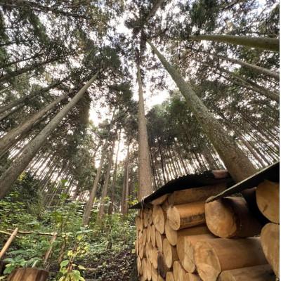 ふるさと納税 河内長野市 木のぬくもり 茄子のかたちのカッティングボード : 1373723 : さとふる - 通販 - Yahoo!ショッピング