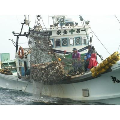 ふるさと納税 雄武町 北海道産 ほたて貝柱(冷凍)5S 1kg【61〜80粒】【G07012】 :1403029:さとふる - 通販 - Yahoo!ショッピング