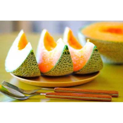 ふるさと納税 富良野市 【2025年出荷】富良野メロン秀品4玉か5玉 1玉/約1.6kg〜1.8kg入 8kg箱 : 1405349 : さとふる - 通販 - Yahoo!ショッピング