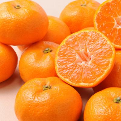 ふるさと納税 浜松市 静岡三ヶ日みかん青島約6kg(L~2L) : 1419094 : さとふる - 通販 - Yahoo!ショッピング