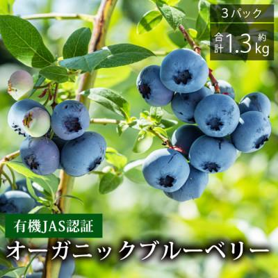ふるさと納税 阿蘇市 JAS認証 オーガニックブルーベリー 約1.3kg : さとふる - 通販 - Yahoo!ショッピング