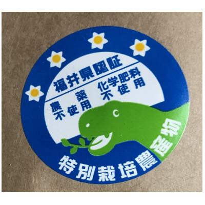 ふるさと納税 あわら市 ふっくらモチモチ♪【令和5年産】 特別栽培米ミルキークイーン玄米5kg :1436793:さとふる - 通販 ...