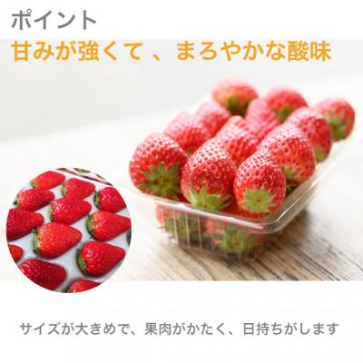 ふるさと納税 常陸太田市 茨城県産 やよいひめ 約300g×4パック(1箱)デラックスサイズ : 1440744 : さとふる - 通販 ...