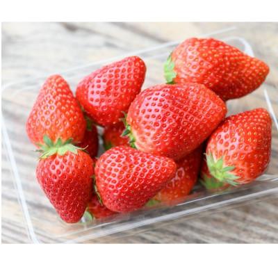 ふるさと納税 常陸太田市 茨城県品種いばらキッス 約260g×2パック(1箱) : 1440745 : さとふる - 通販 - Yahoo ...