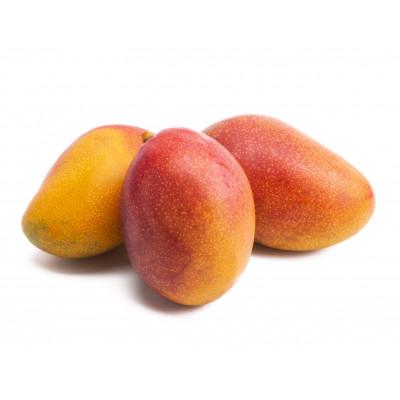 ふるさと納税 八重瀬町 【2026年発送】訳あり・沖縄県産マンゴー1kg(2〜3玉) : さとふる - 通販 - Yahoo!ショッピング