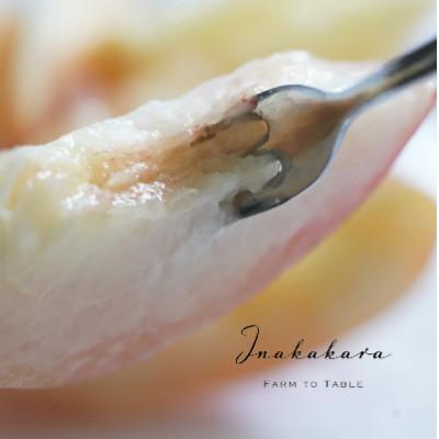 ふるさと納税 笛吹市 【笛吹市産】Inakakara プレミアムエコノミー桃 6玉(約1.8kg) : さとふる - 通販 - Yahoo!ショッピング