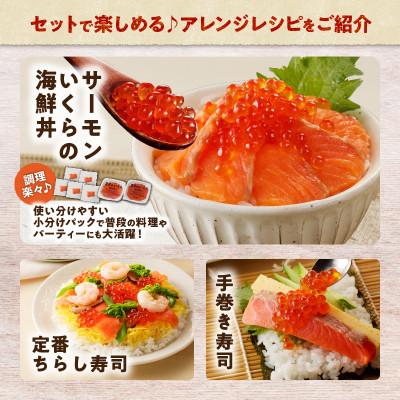 ふるさと納税 苫小牧市 「とろ生サーモン」と北海道産秋鮭「いくら醤油漬け」セット 計580g : さとふる - 通販 - Yahoo!ショッピング
