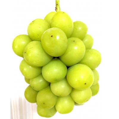 ふるさと納税 勝央町 訳あり 岡山ぶどう 2kg(4〜5房) 種なし皮ごと 栽培期間中化学肥料不使用 : 1486381 : さとふる - 通販 - Yahoo!ショッピング