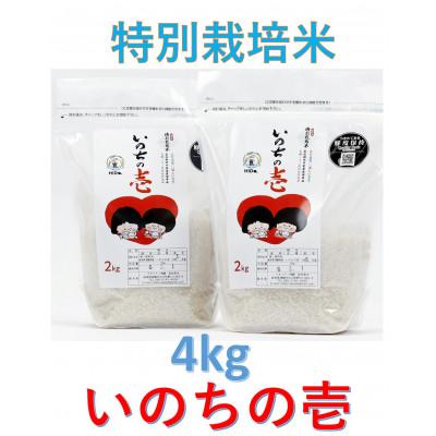 ふるさと納税 飛騨市 岐阜県飛騨産「いのちの壱」白米4kg(2kg2袋)特別栽培米 : さとふる - 通販 - Yahoo!ショッピング